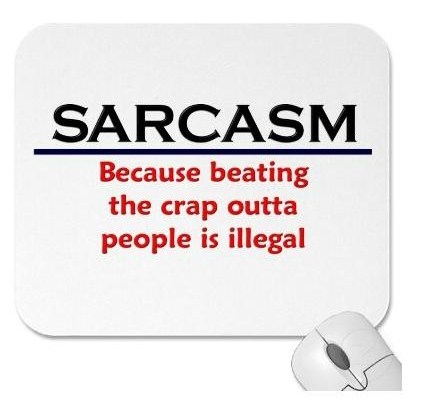 “When she was young, she thought sarcasm was the sign of true wit ...